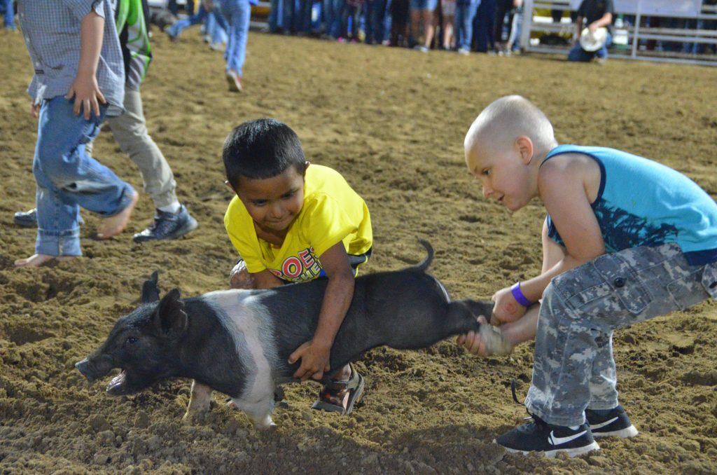 101 photos from the 101st Moffat County Fair | CraigDailyPress.com