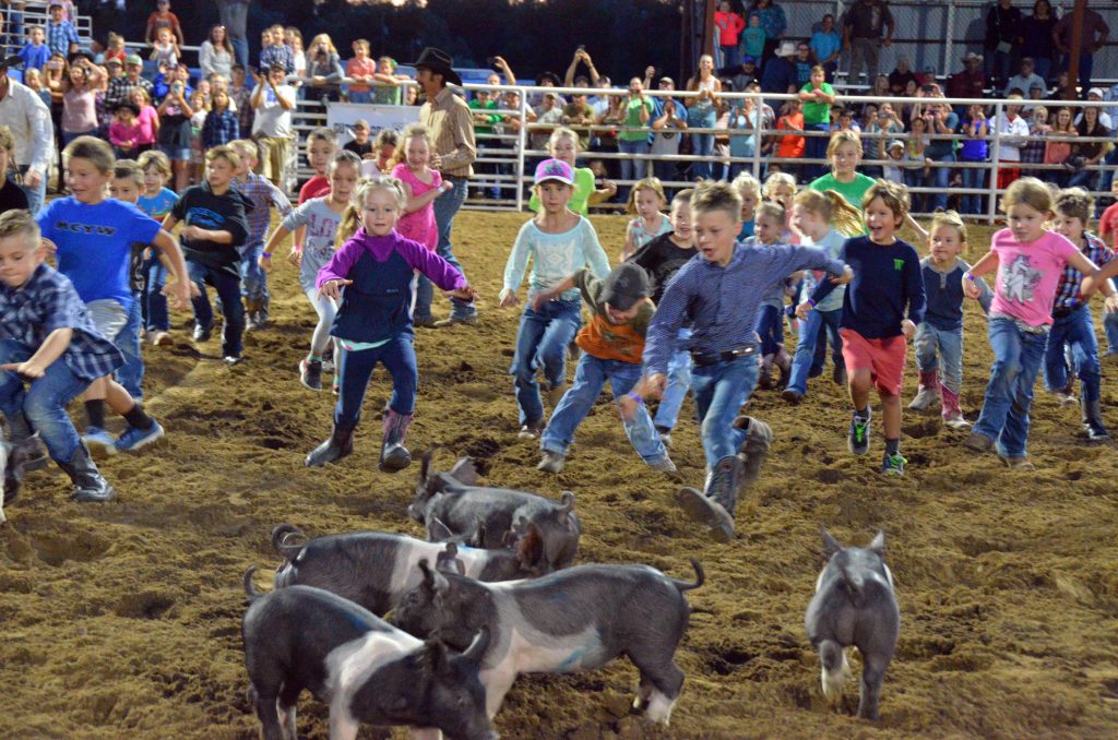 101 photos from the 101st Moffat County Fair | CraigDailyPress.com
