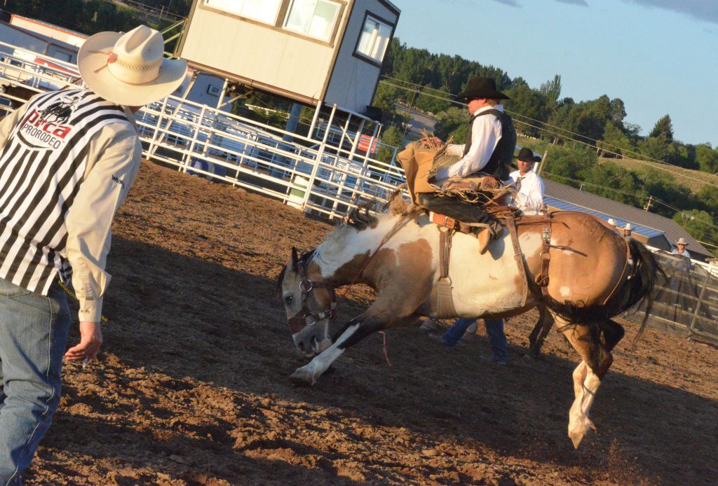 101 photos from the 101st Moffat County Fair | CraigDailyPress.com