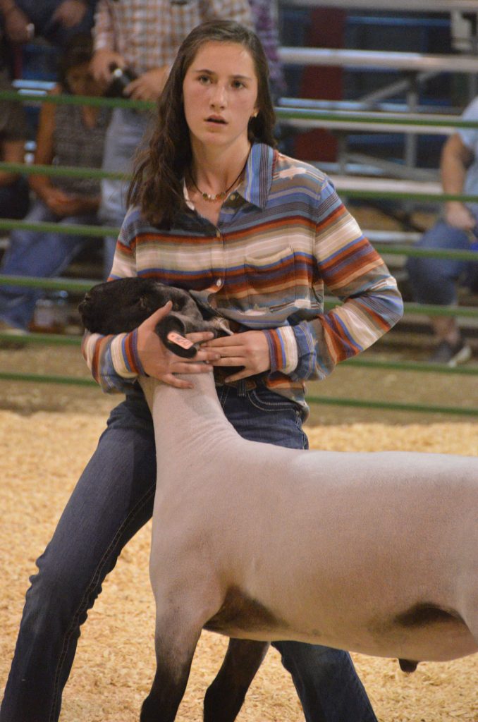101 photos from the 101st Moffat County Fair | CraigDailyPress.com