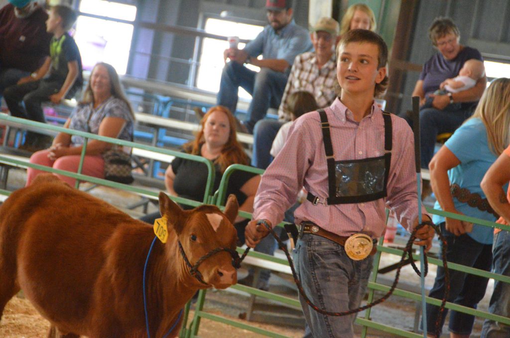 101 photos from the 101st Moffat County Fair | CraigDailyPress.com
