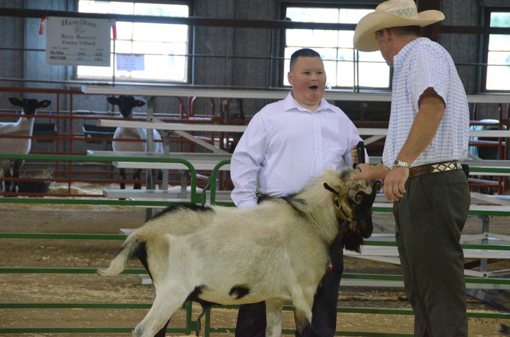 101 photos from the 101st Moffat County Fair | CraigDailyPress.com