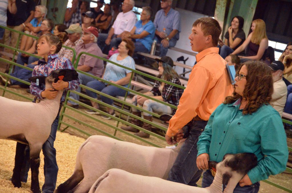 101 photos from the 101st Moffat County Fair | CraigDailyPress.com