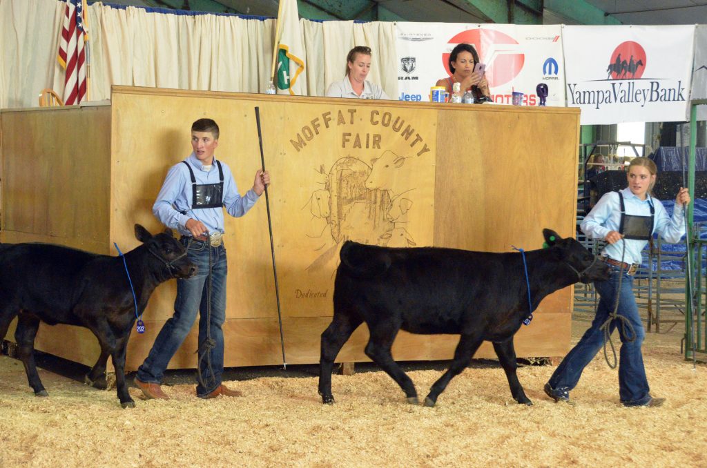 101 photos from the 101st Moffat County Fair | CraigDailyPress.com