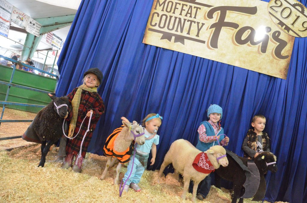 101 photos from the 101st Moffat County Fair | CraigDailyPress.com