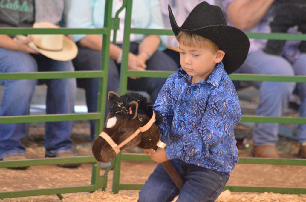 101 photos from the 101st Moffat County Fair | CraigDailyPress.com