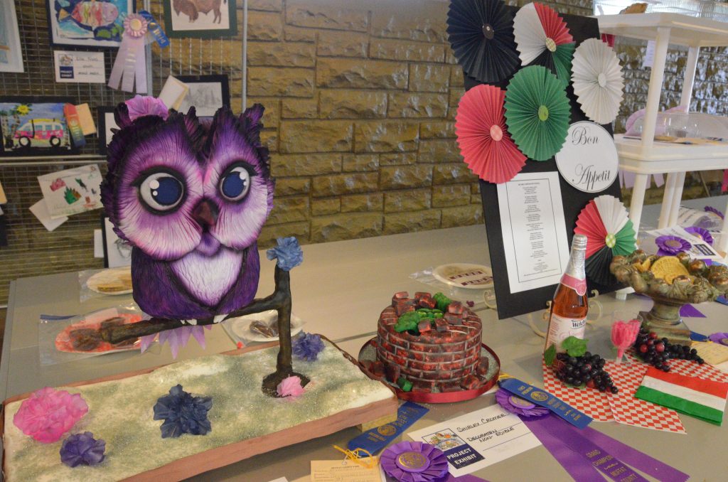 101 photos from the 101st Moffat County Fair | CraigDailyPress.com