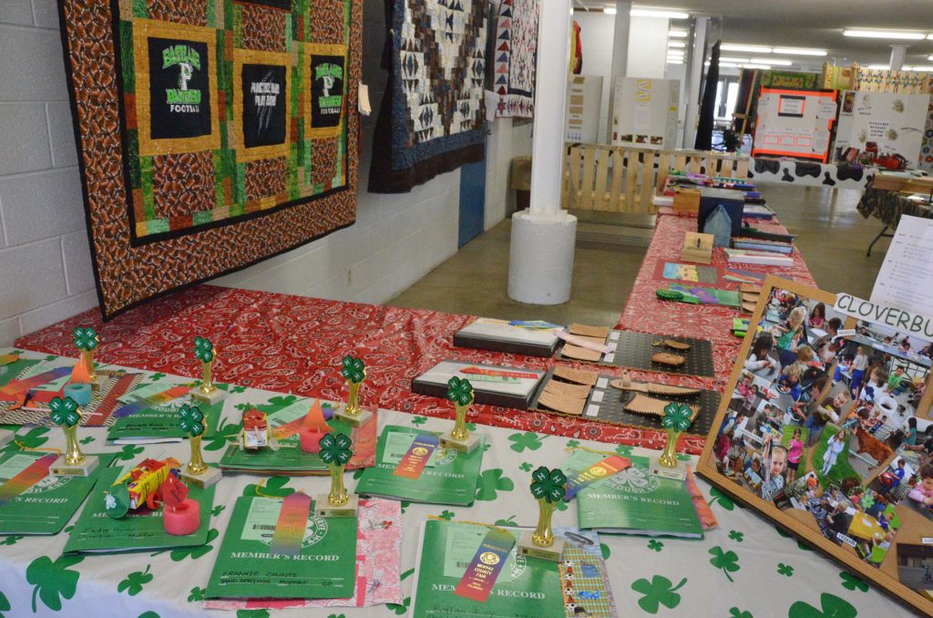 101 photos from the 101st Moffat County Fair | CraigDailyPress.com