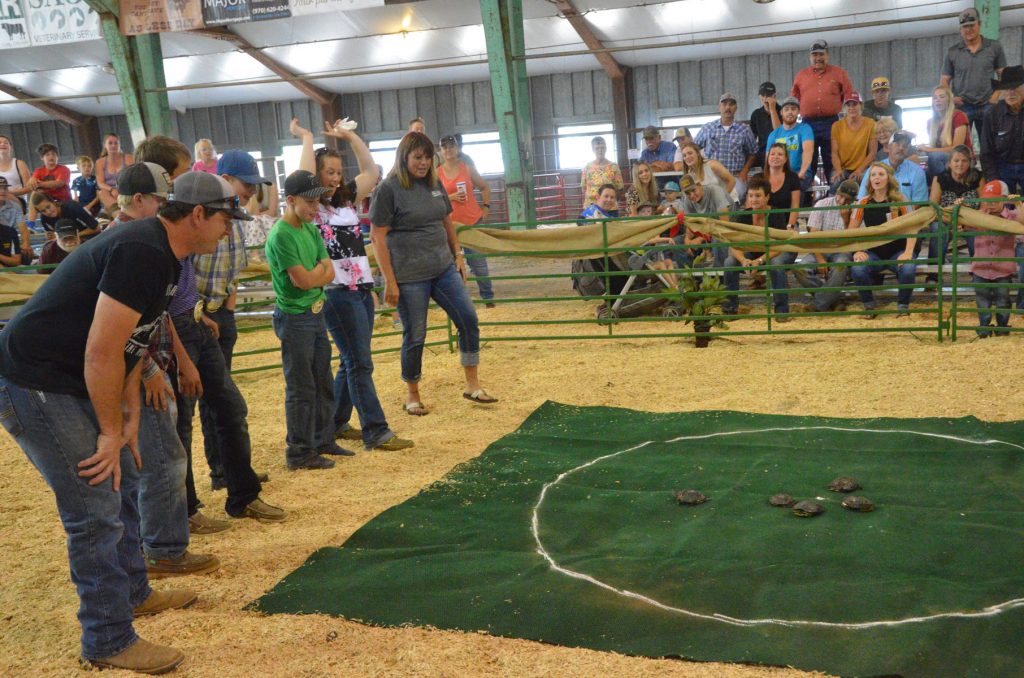 101 photos from the 101st Moffat County Fair | CraigDailyPress.com