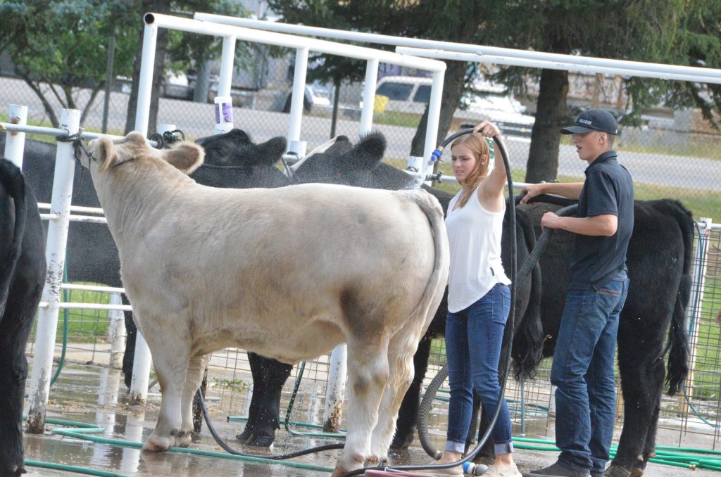 101 photos from the 101st Moffat County Fair | CraigDailyPress.com