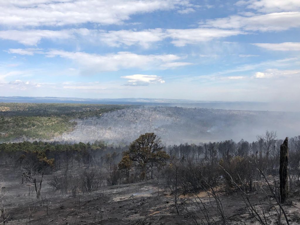 Hunt Fire near Meeker at 2,500 acres | CraigDailyPress.com