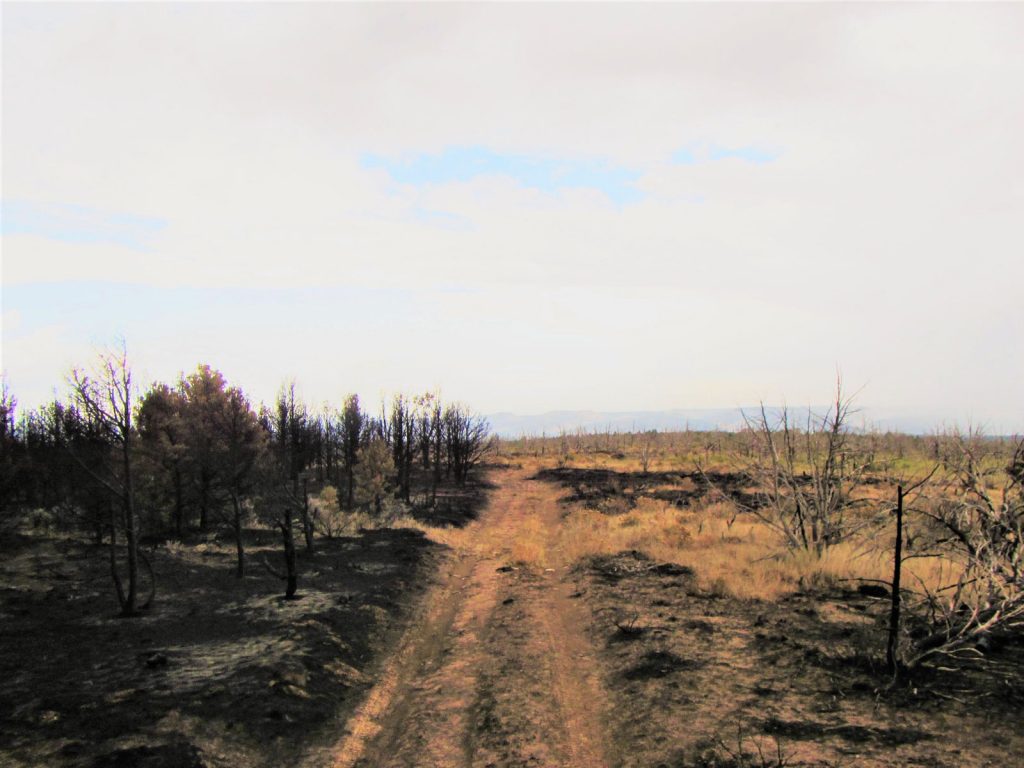 Hunt Fire near Meeker sees flare-up as containment efforts continue ...