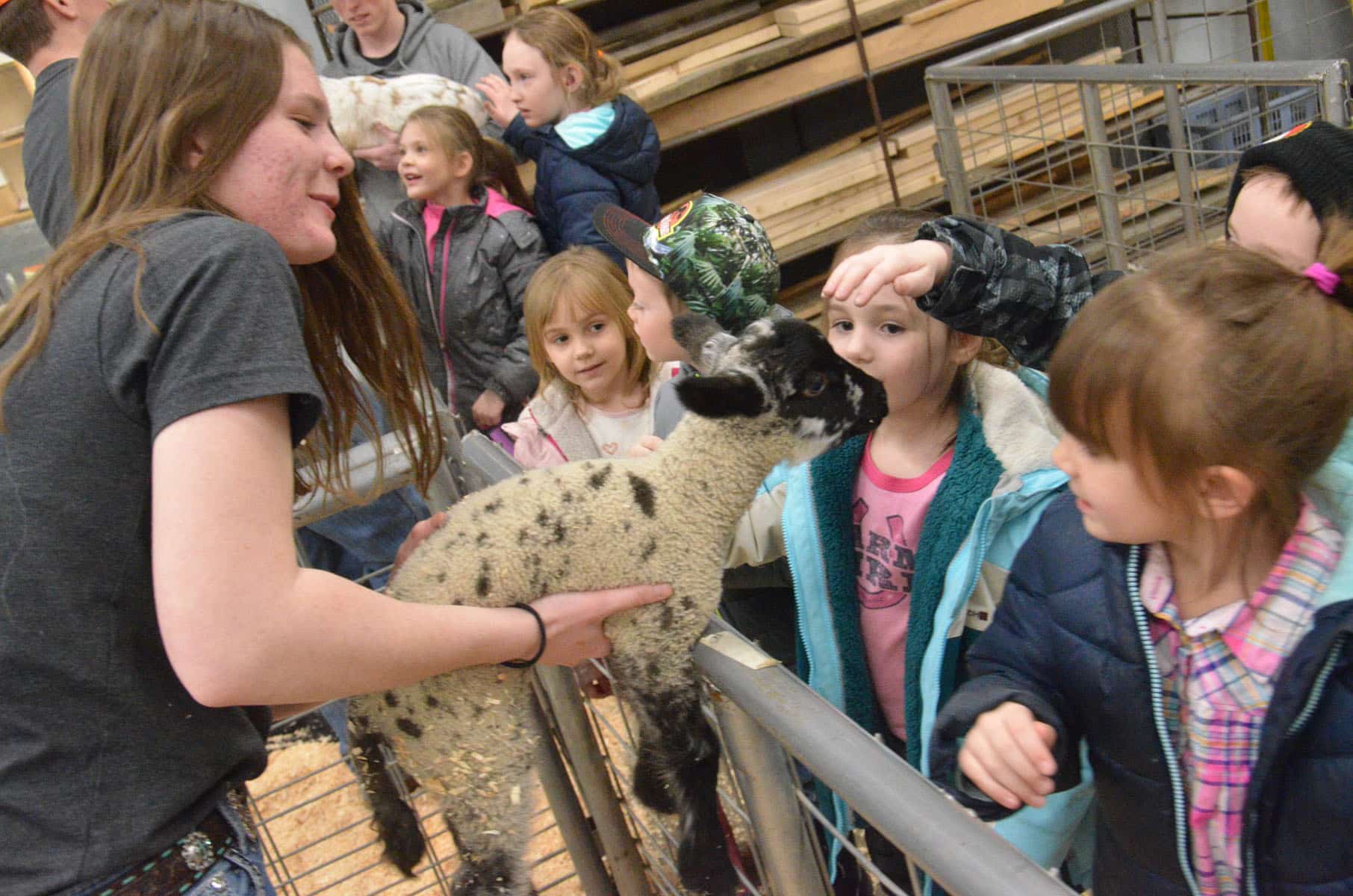 Warm and fuzzy: Moffat County FFA Barnyard Days teaches kindergartners ...