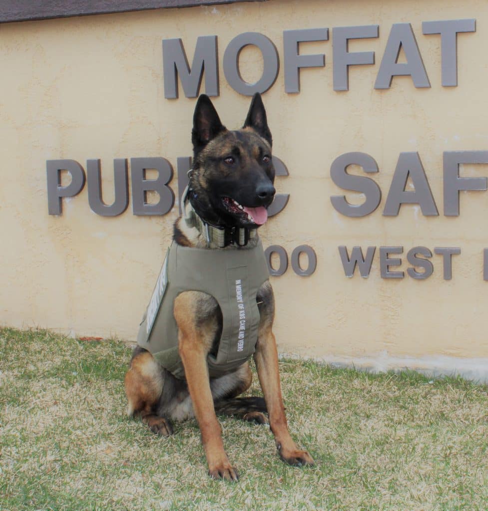 Moffat County Sheriff’s Office K9 Odin receives donated body armor ...