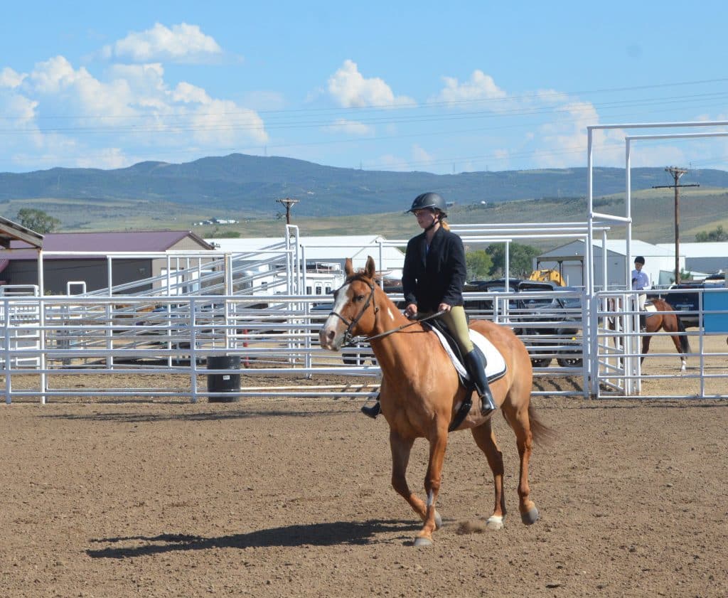 2020 Moffat County Fair is open | CraigDailyPress.com