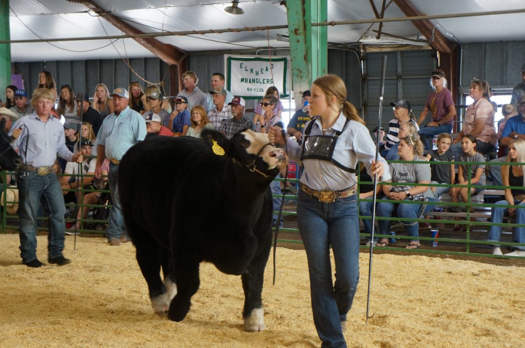 Photos: The faces of Fair | CraigDailyPress.com