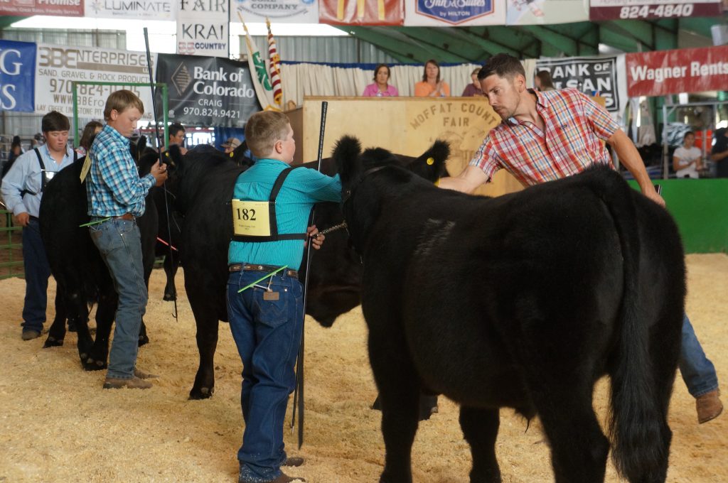 Photos: The faces of Fair | CraigDailyPress.com