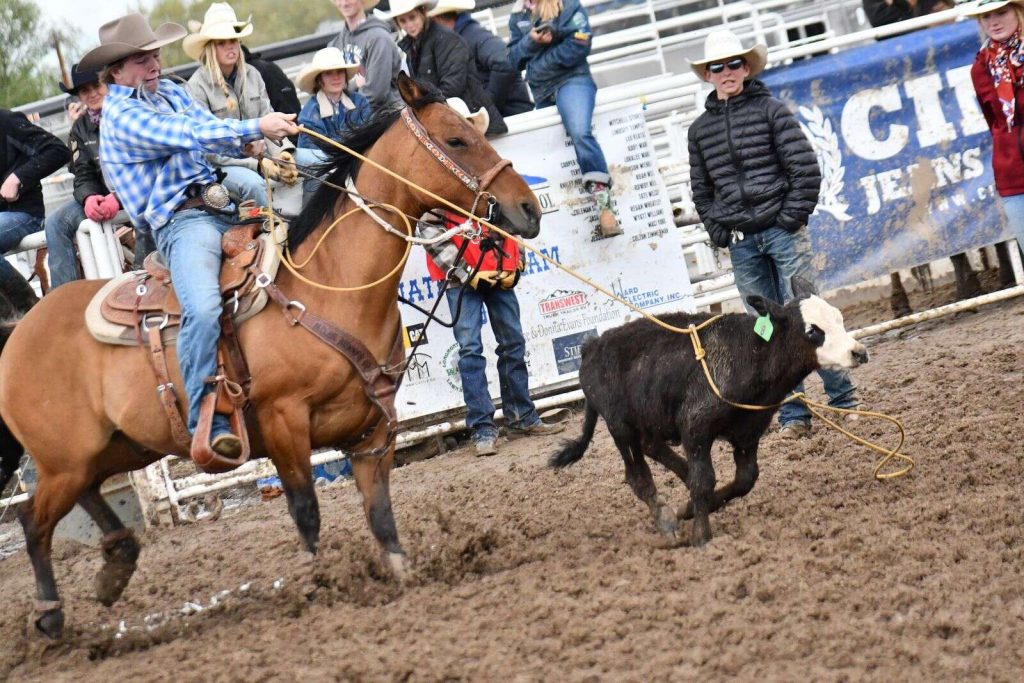 Photos: Rodeo state finals | CraigDailyPress.com