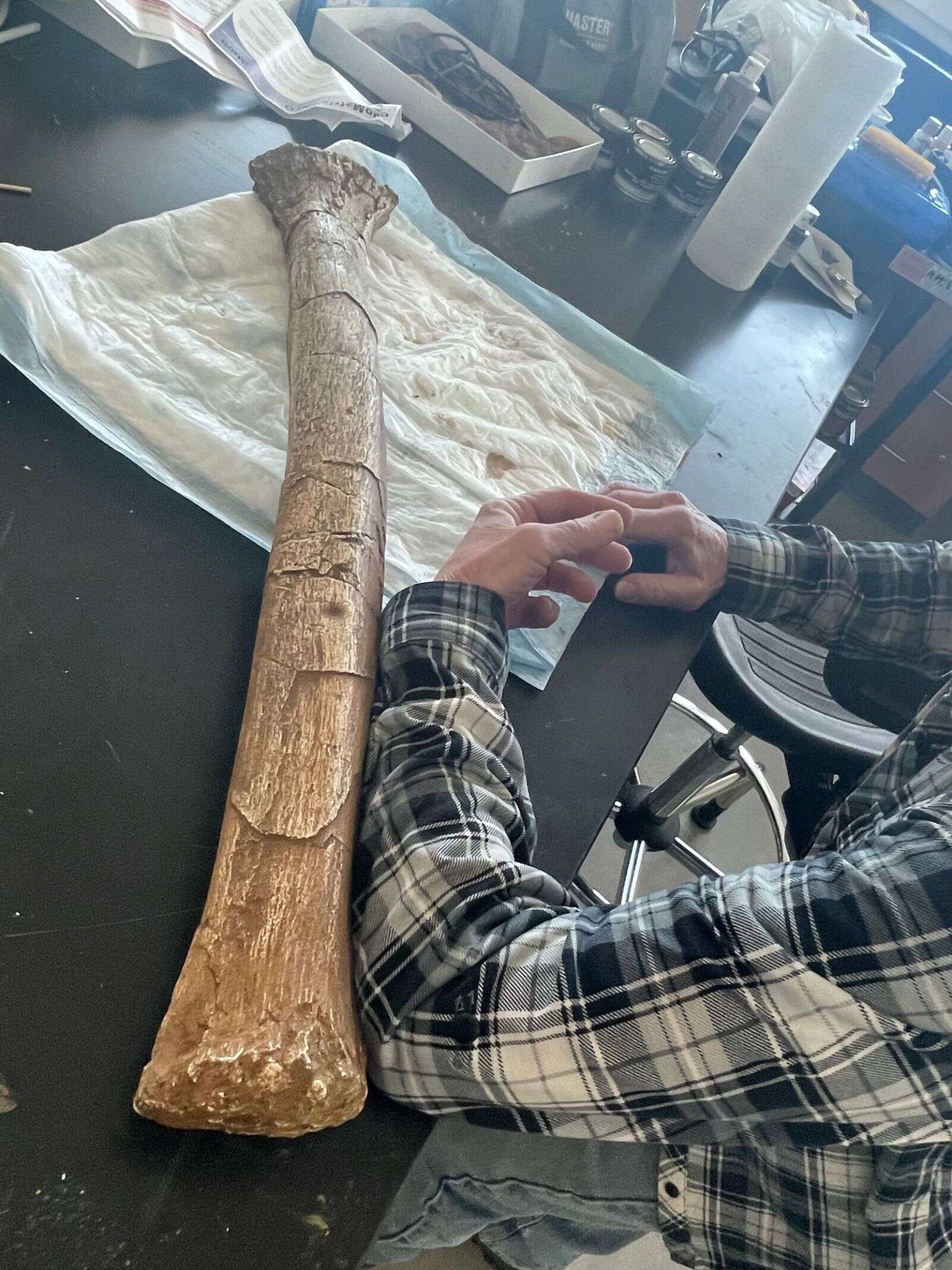 Field museum of discovery: Ever-growing dinosaur bone collection at ...