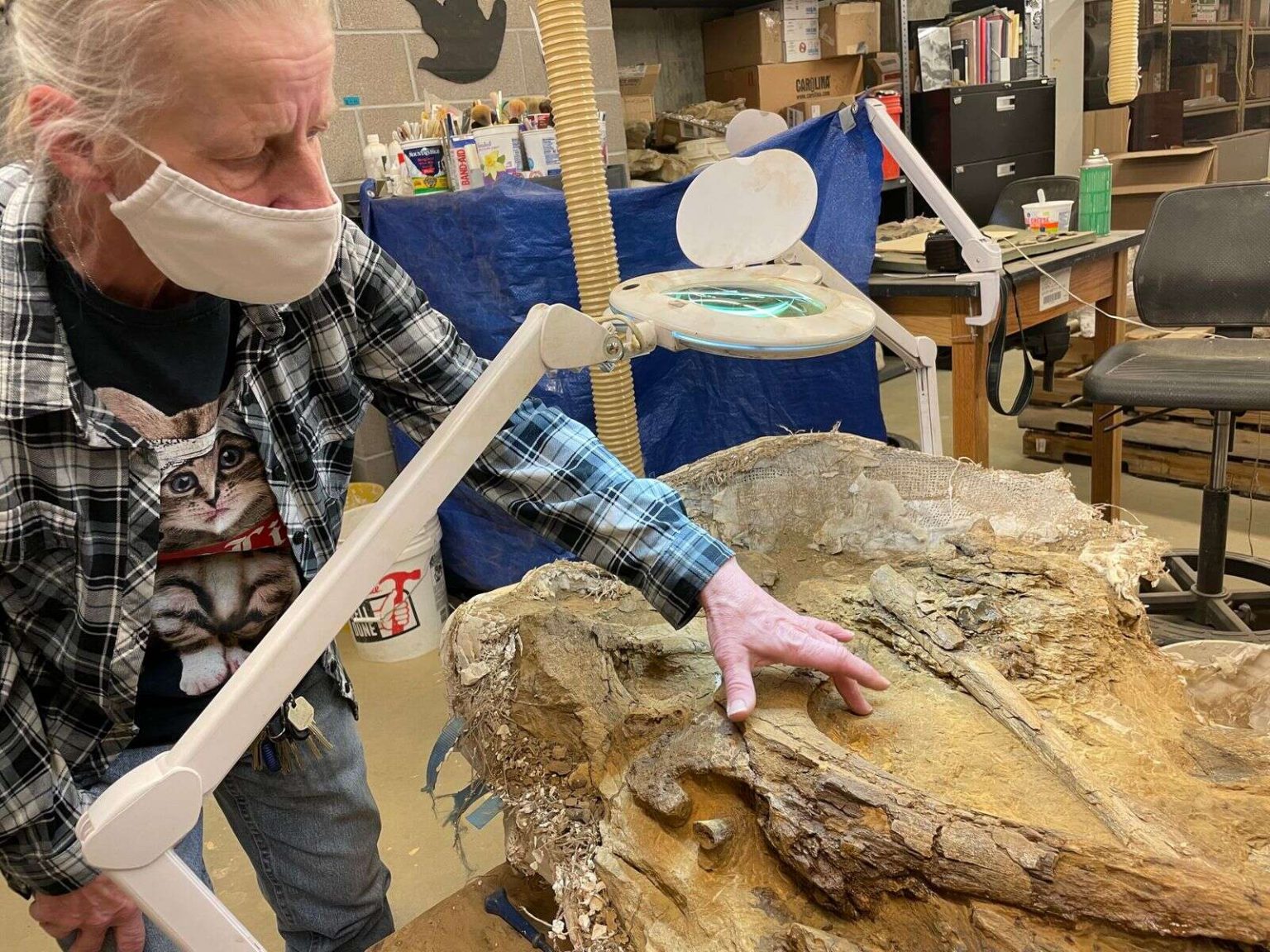 Field museum of discovery: Ever-growing dinosaur bone collection at ...