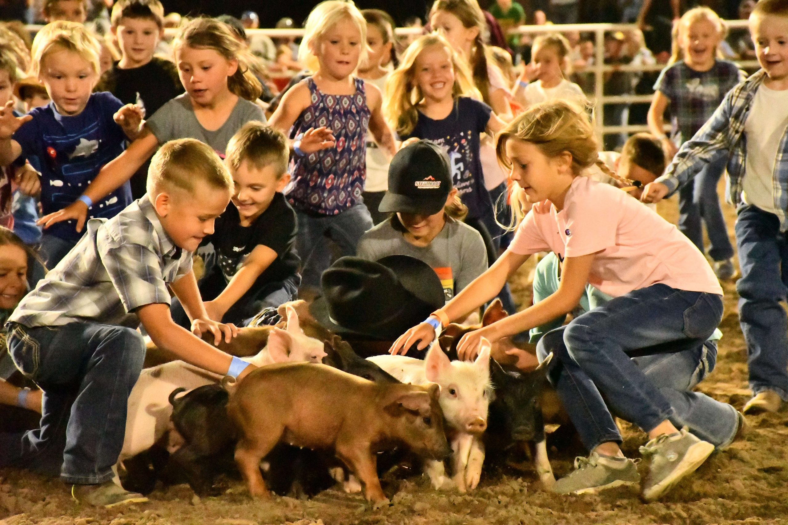 What’s swine is yours: Kids go hog wild at Moffat County Fair Catch-a ...