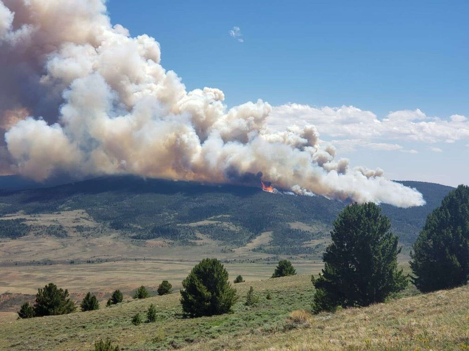 Northwest Colorado fire roundup: West, Wild Cow and Oil Springs ...