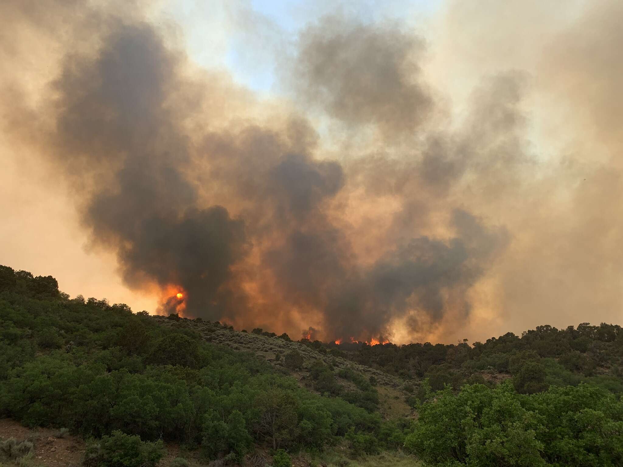 Updating: Collom Fire near Colowyo Mine 5% contained, not threatening ...