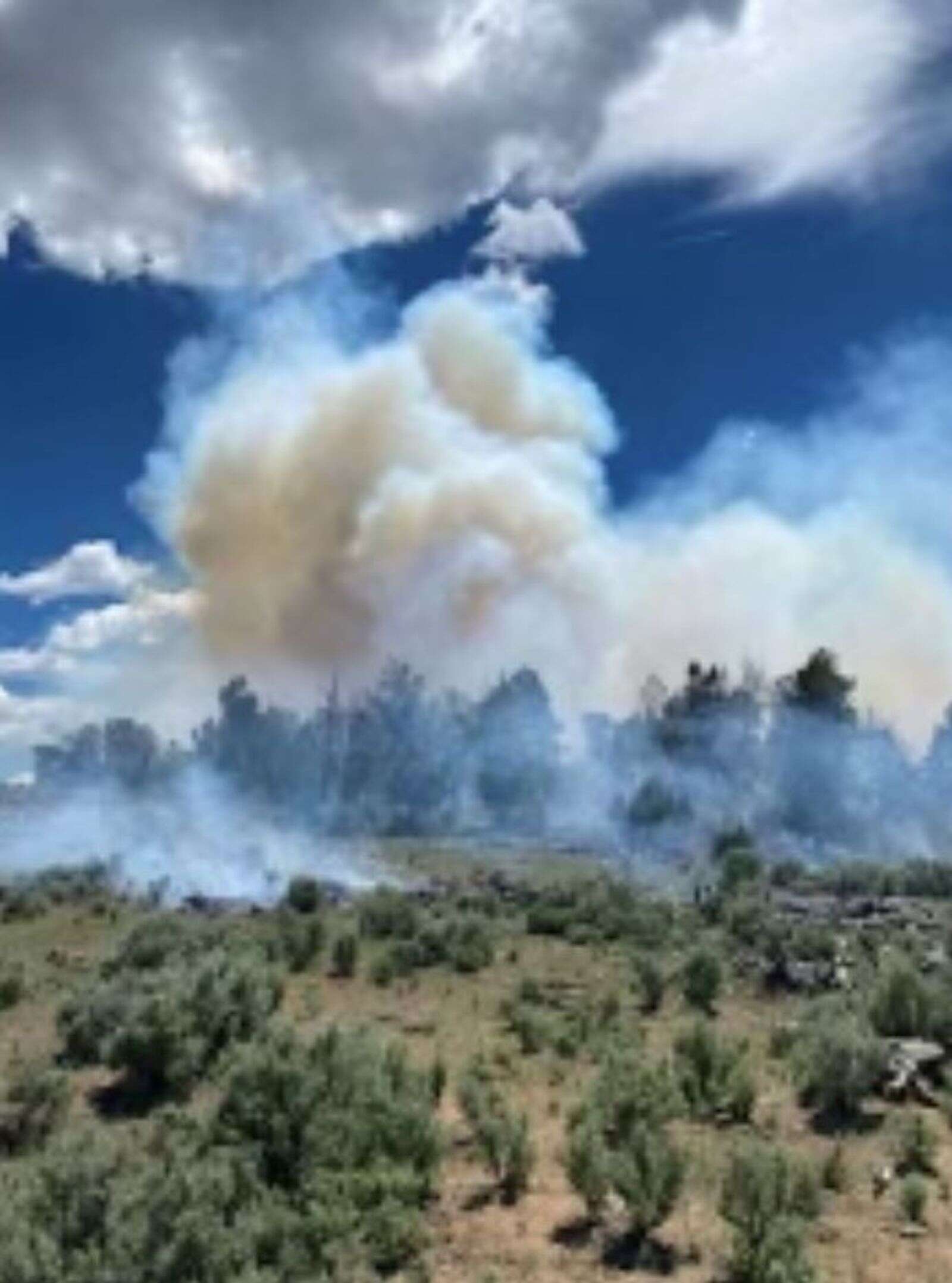 Fire near Meeker allowed to burn | CraigDailyPress.com
