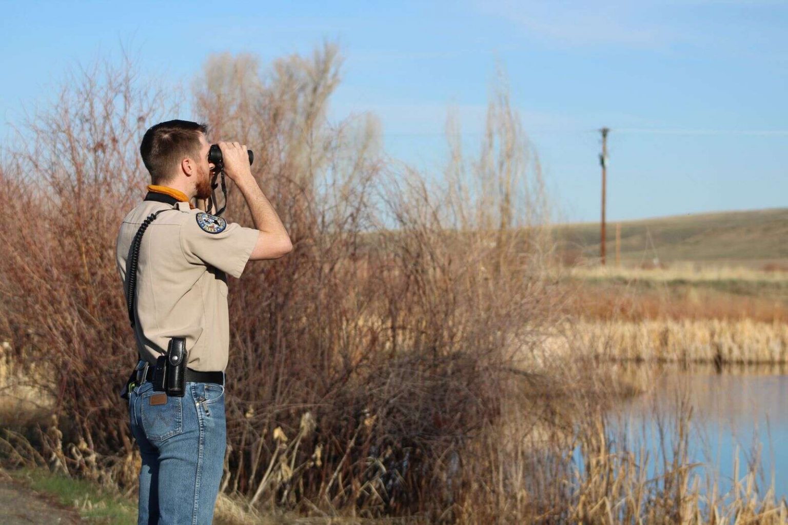 Colorado Parks and Wildlife to host guided bird-watching walks at Yampa ...