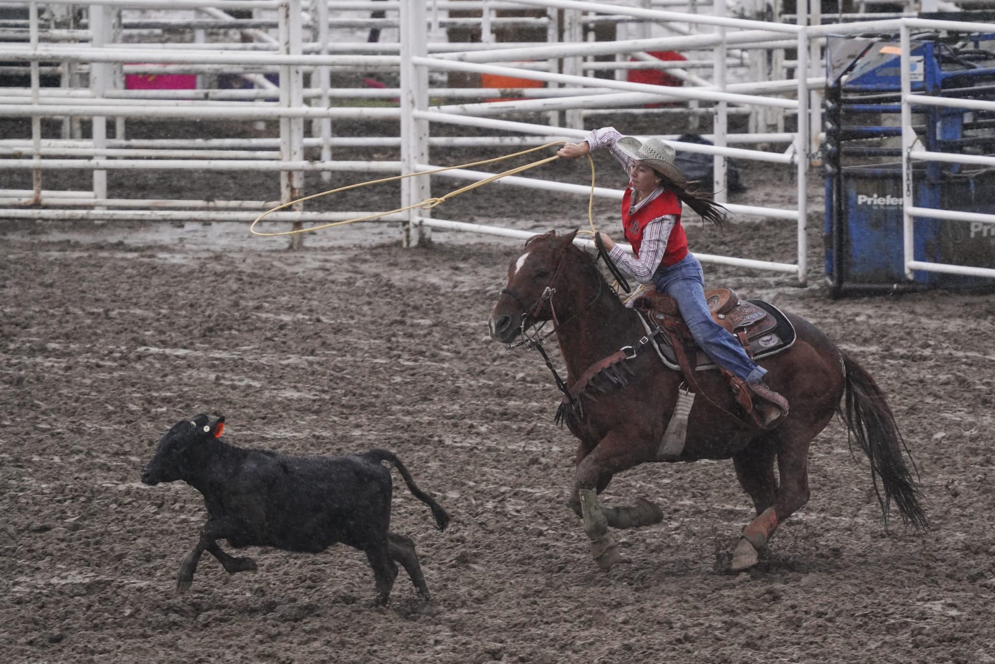 Professional cowboy from Craig looks to build up CNCC rodeo team ...