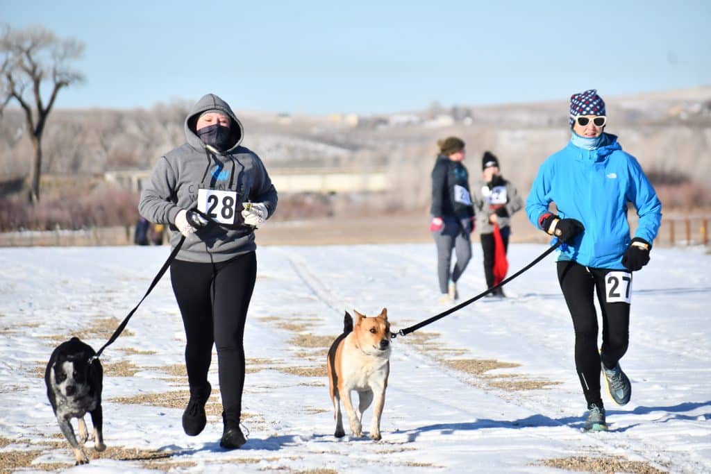 Gravy Train 5K runners heat up ahead of holiday | CraigDailyPress.com