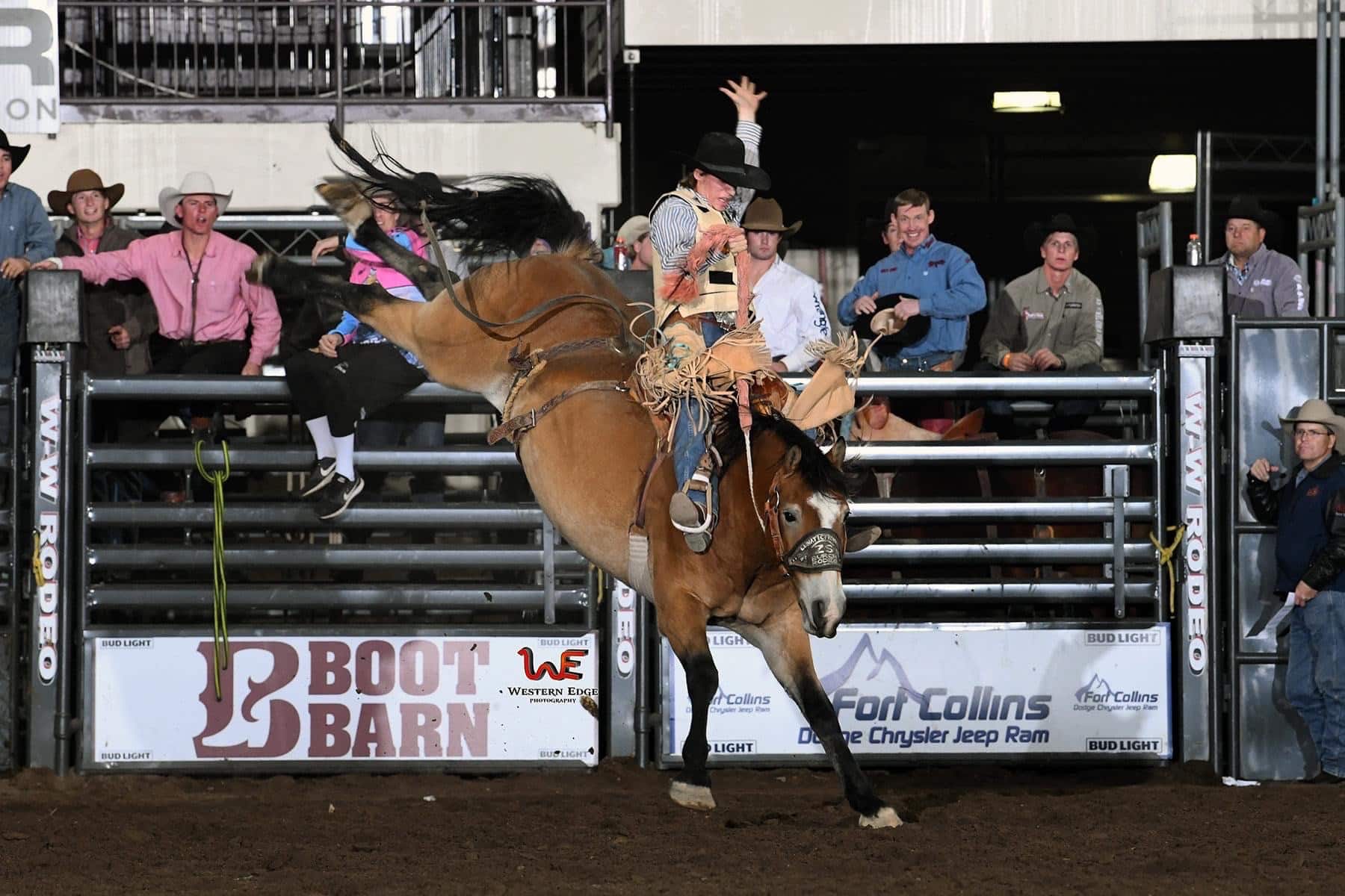 Professional cowboy from Craig looks to build up CNCC rodeo team ...