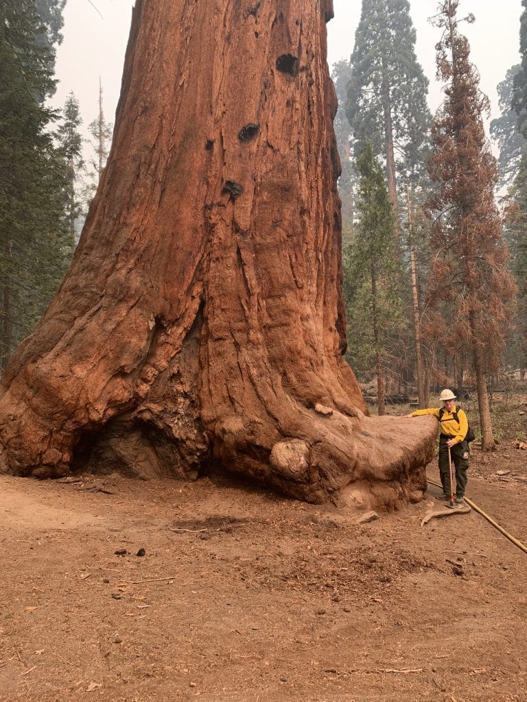 Writers on the Range: When giants fall, we need to listen ...