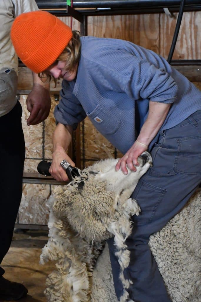 Moffat County shearing school provides instruction that’s a cut above ...