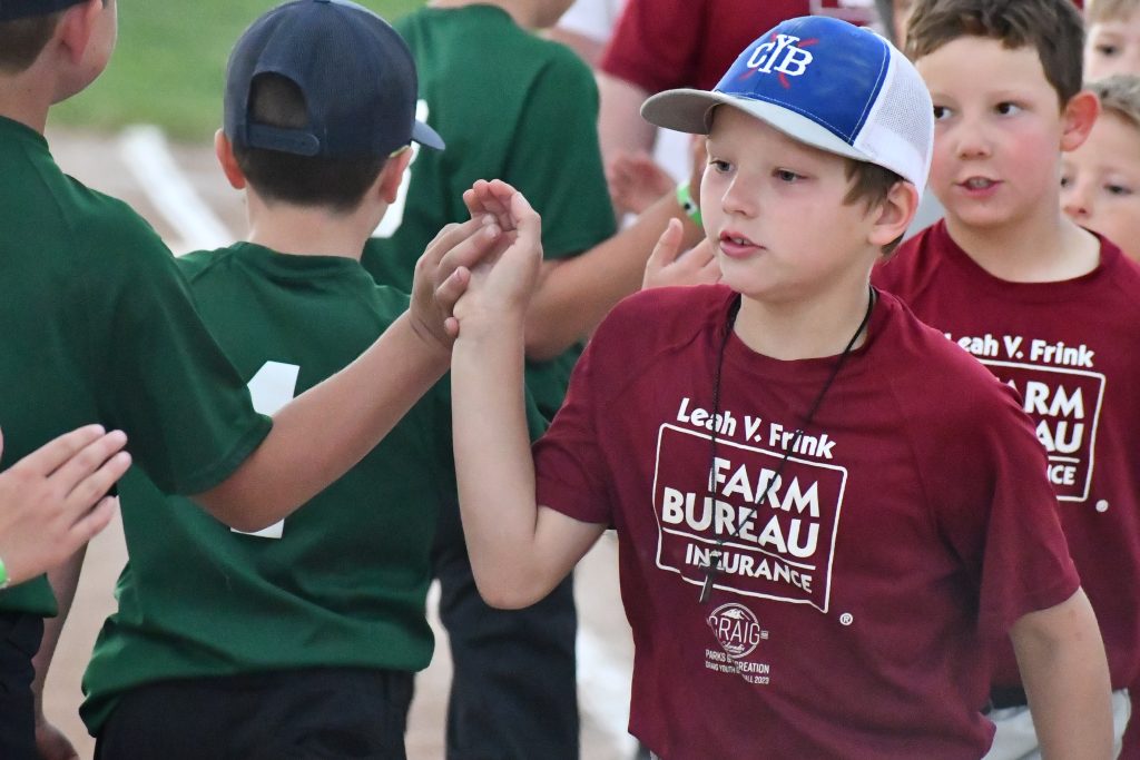 Craig Youth Baseball crowns champs, brings back older age bracket ...
