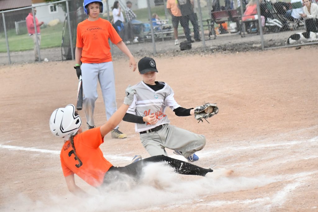 Craig Youth Baseball crowns champs, brings back older age bracket ...
