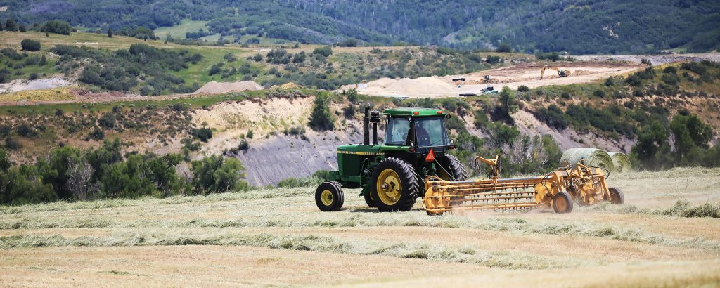 Ranchers continue to navigate complicated summer as they race to cut ...