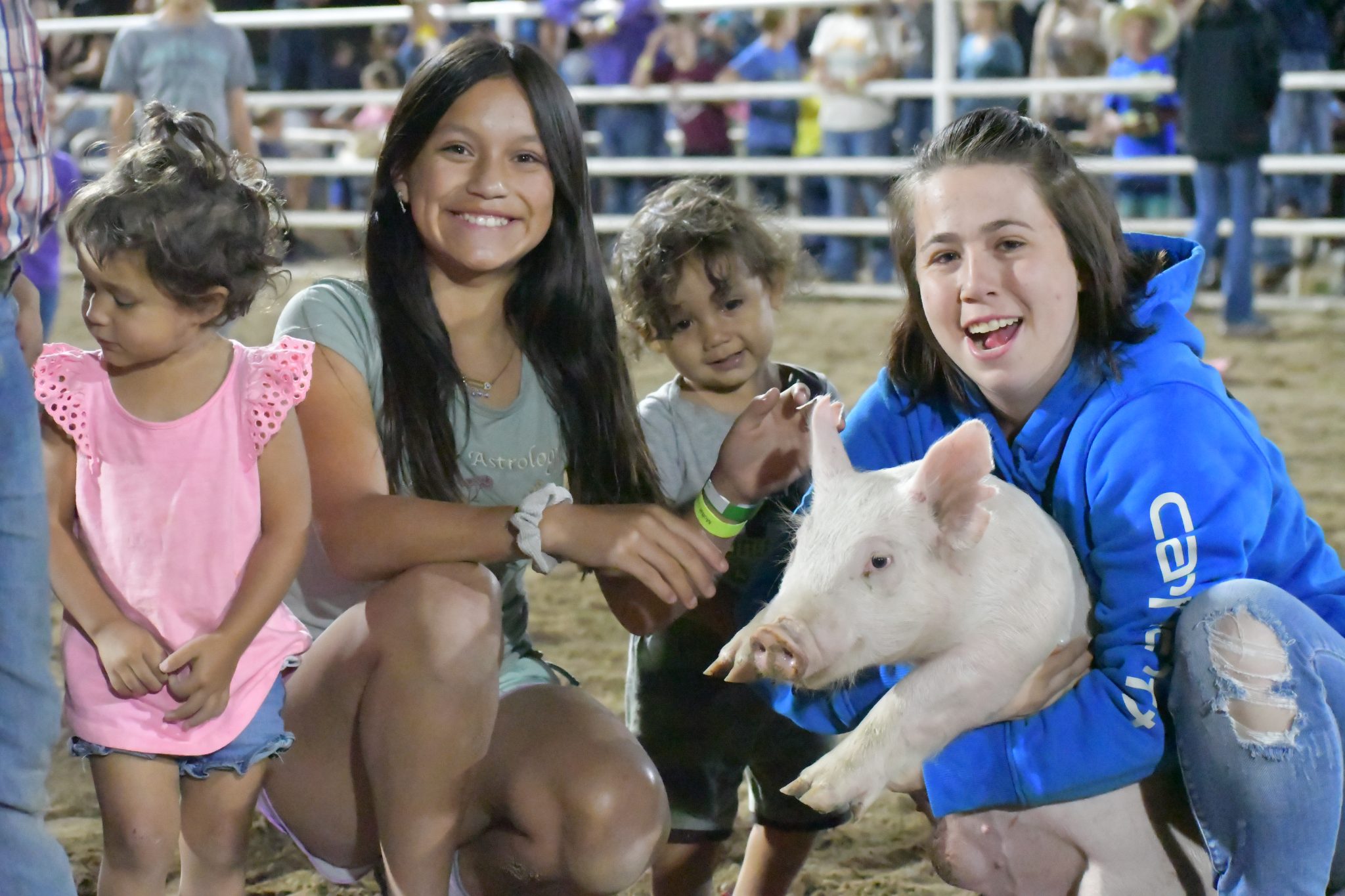 Photos: Moffat County Fair Rodeo, Catch-a-Pig contest | CraigDailyPress.com