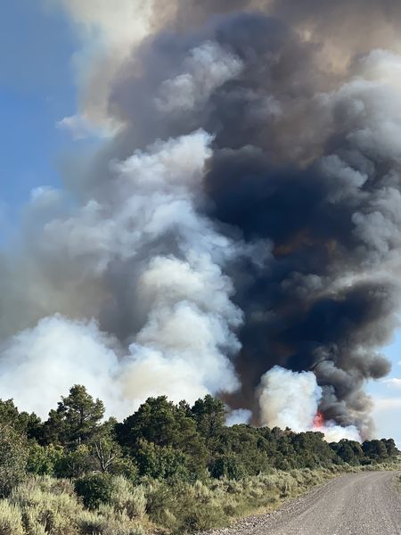 Two wildfires have burned an estimated 1,200 acres in Rio Blanco County ...