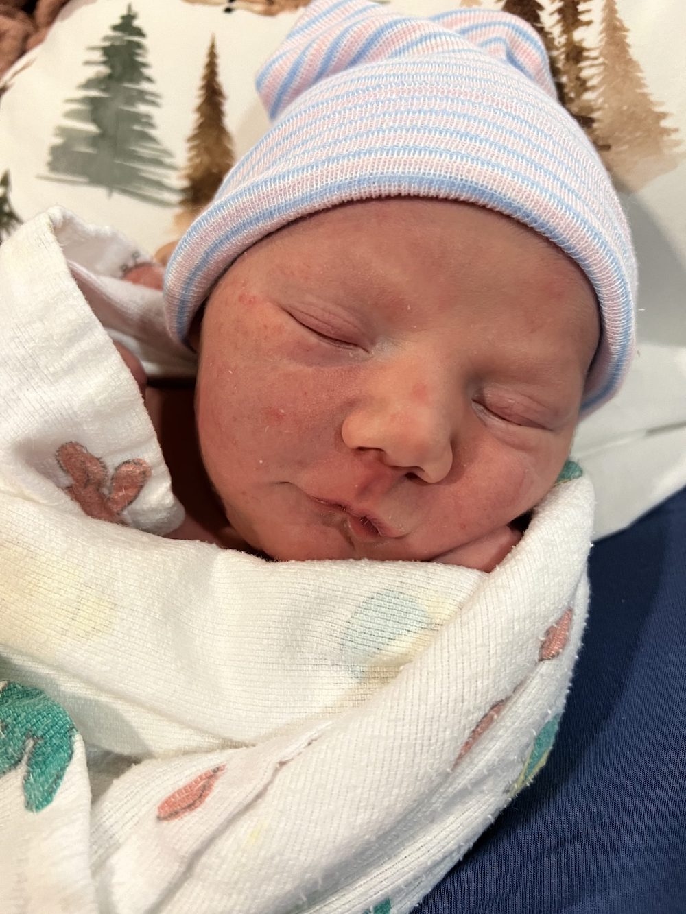‘Born on the wild side’: More imminent birth situations happening ...