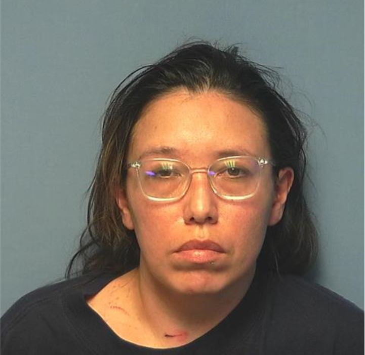 Driver charged with assaulting police officer after chase that began in ...