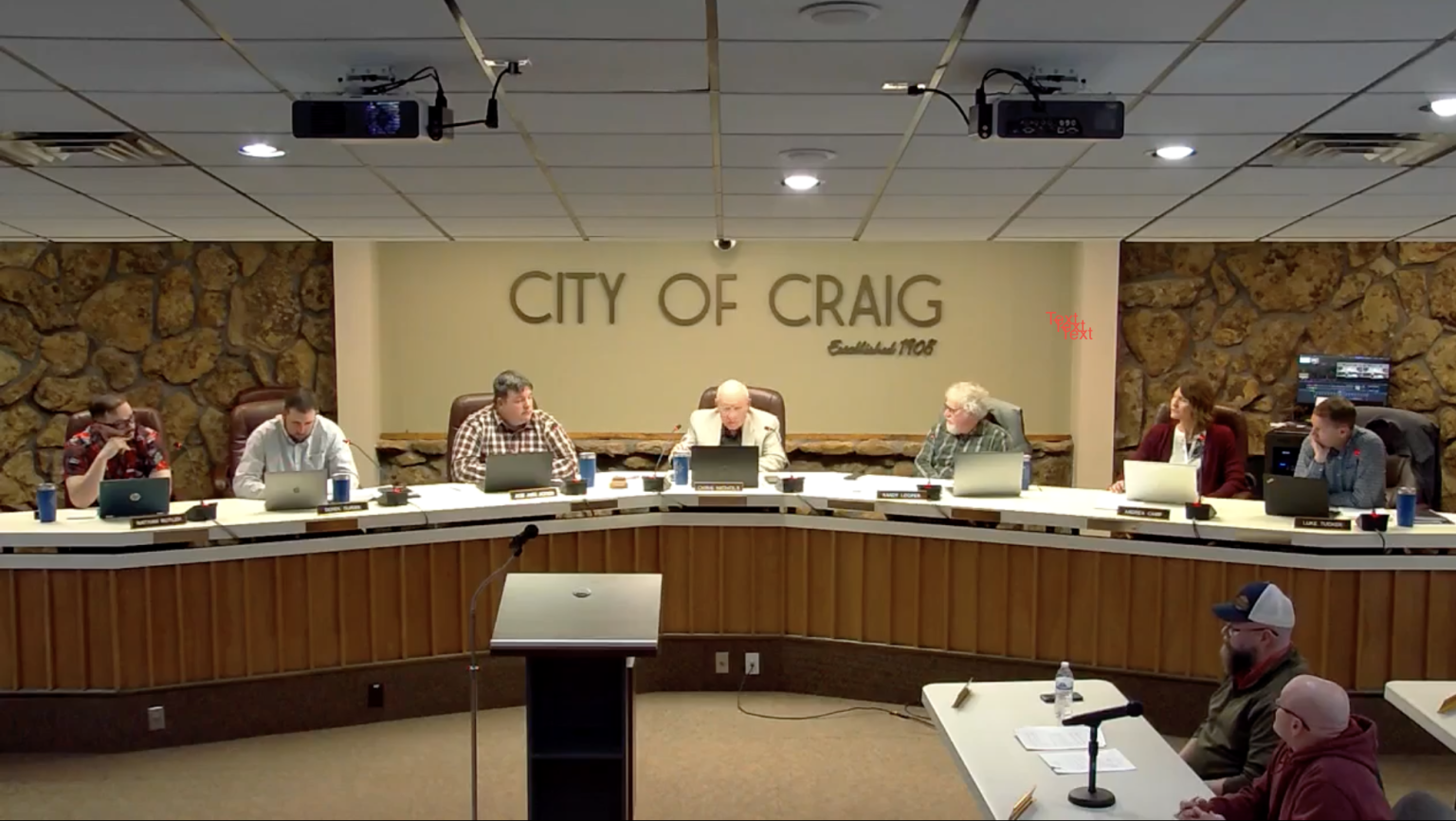 City council adds slate of workshops to spring schedule ...