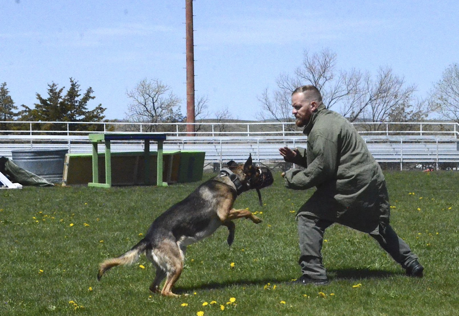Craig Police dogs have their day at K9 challenge | CraigDailyPress.com