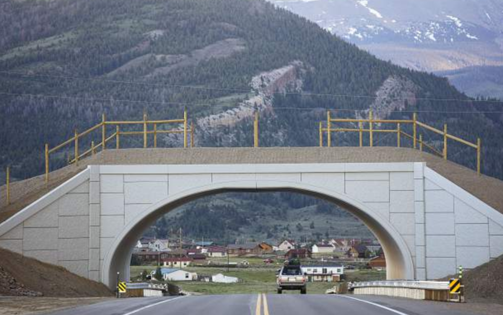 Momentum builds for wildlife crossings in Roaring Fork Valley and ...