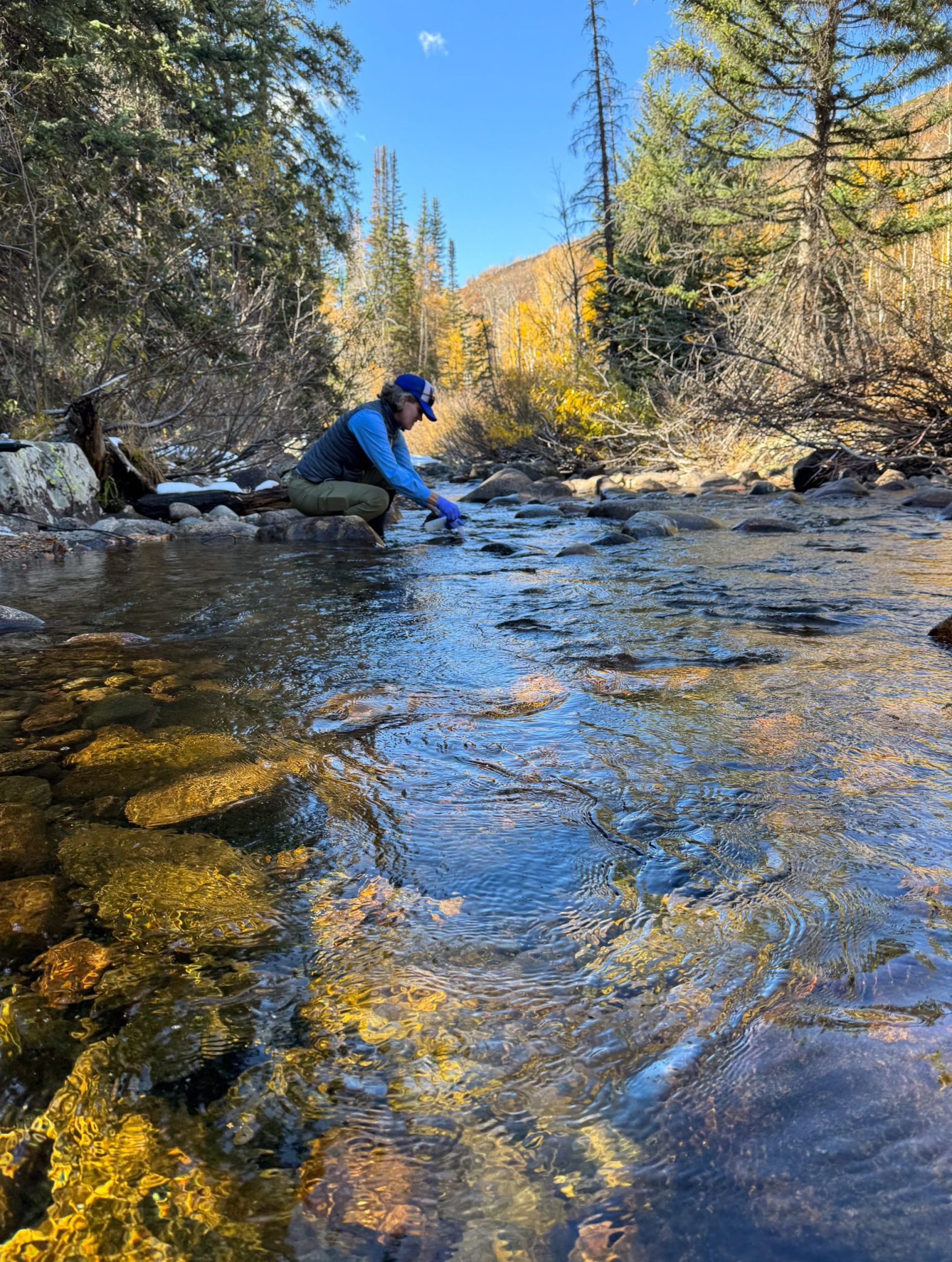 Algae under scrutiny in Yampa River — A rising concern for watershed groups | CraigDailyPress.com