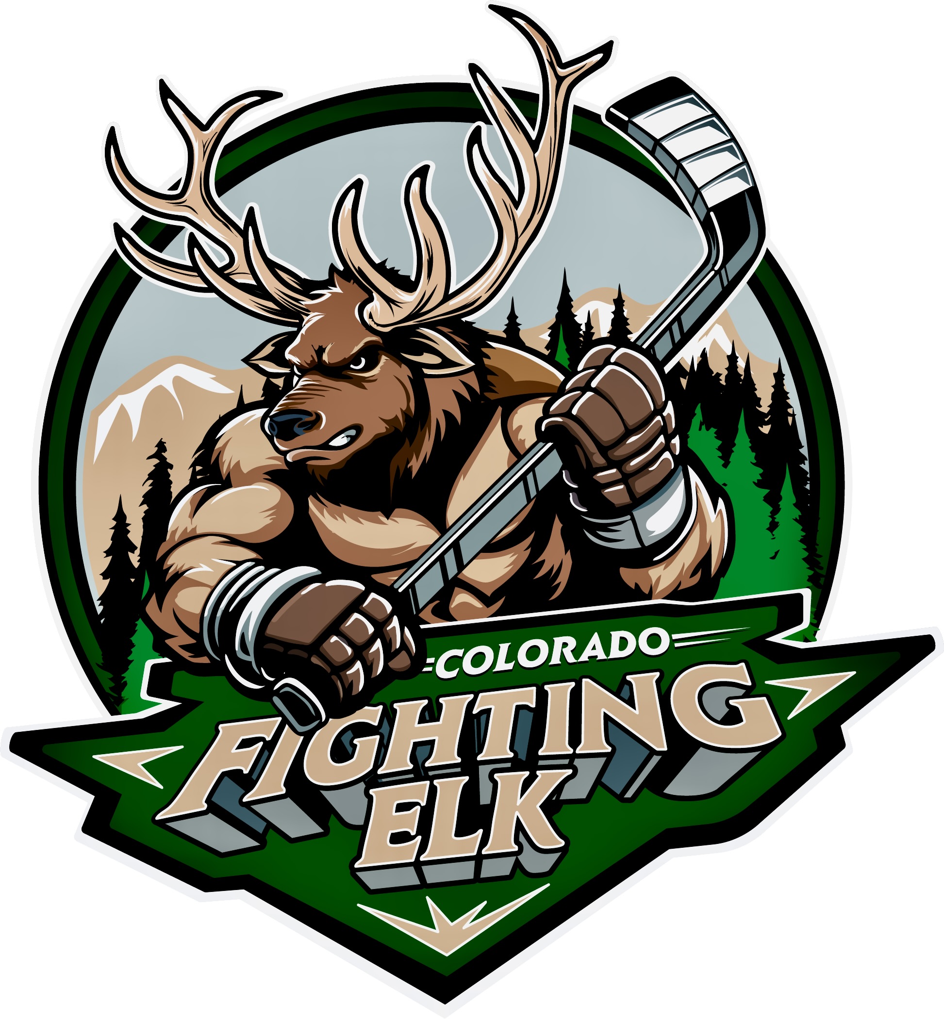 Fighting Elk hockey sees new ownership as Craig community embraces ...