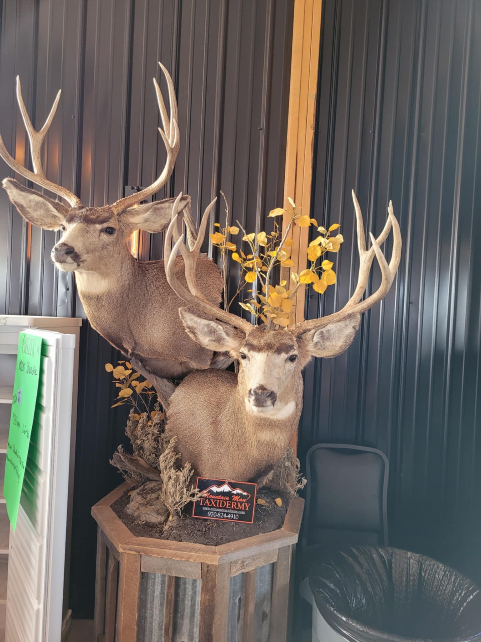 Craig Mule Deer Banquet Aims to Support Habitat, Confront Conservation ...