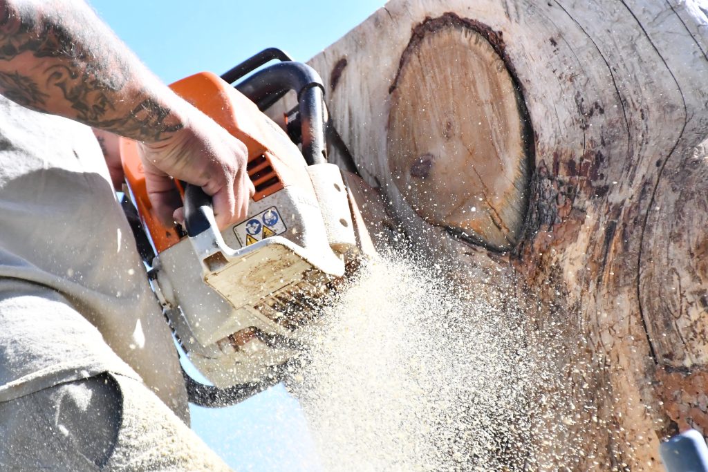 ‘Offering something special’: Whittle the Wood marks 25 years in Craig ...