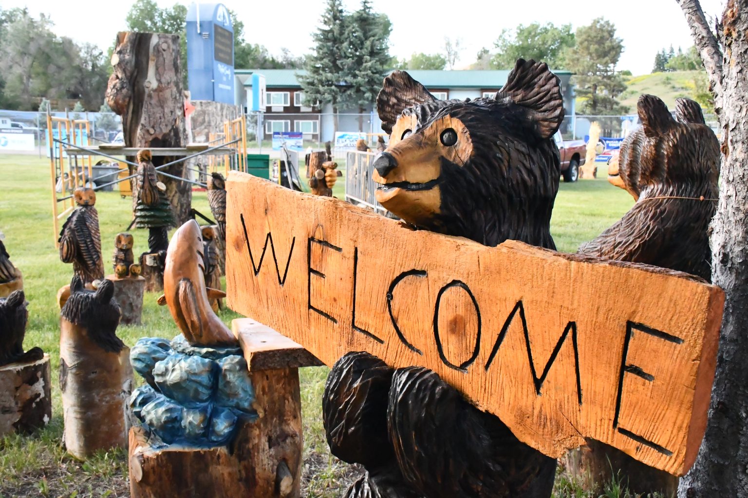 ‘Offering something special’: Whittle the Wood marks 25 years in Craig ...