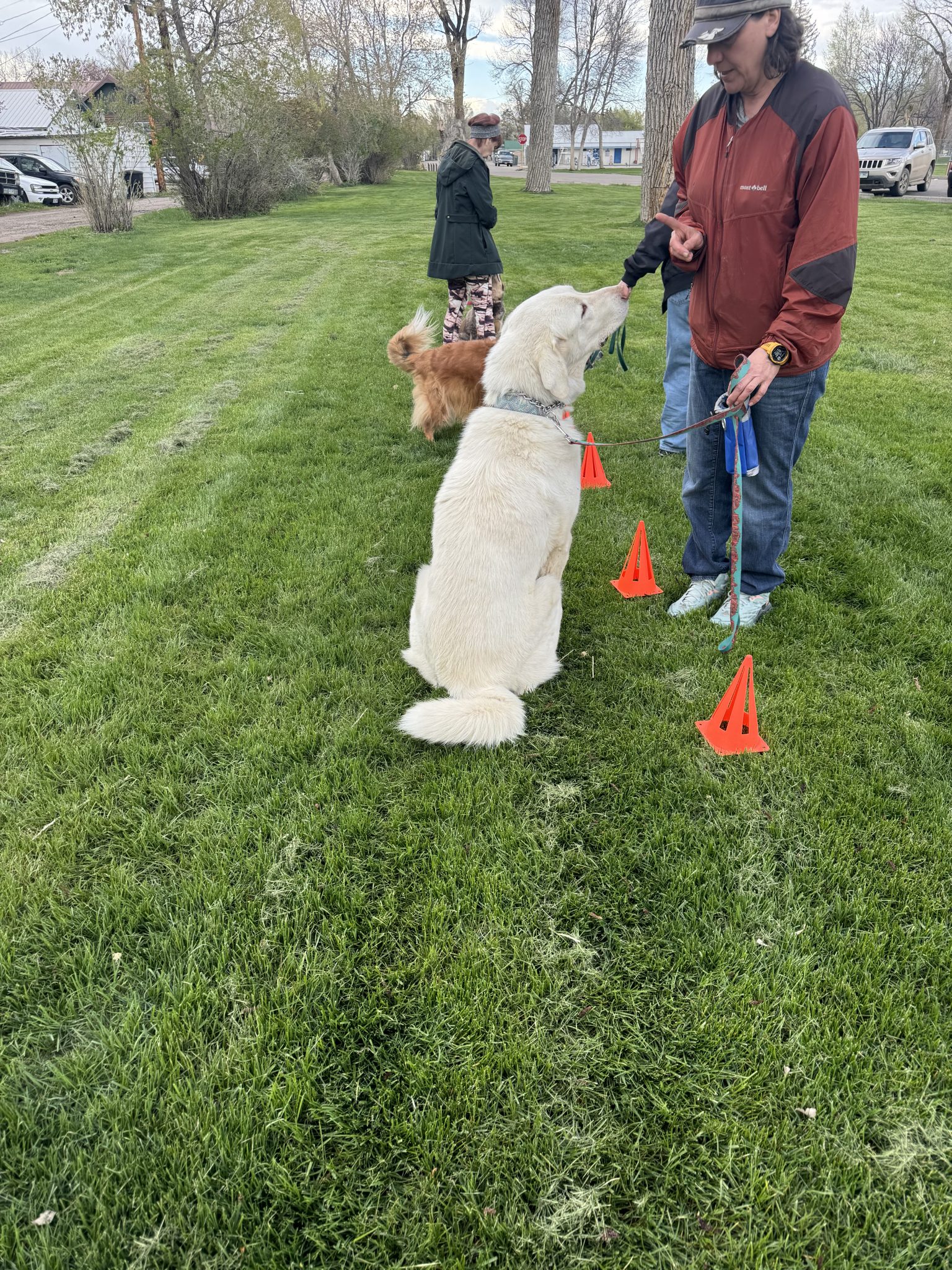 Understanding dog and human: Shelly Pinnt’s bond with animals helps to ...